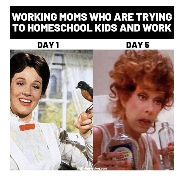 Current Event Memes That Will Make You LOL Part 2 - Roselyn Weaver